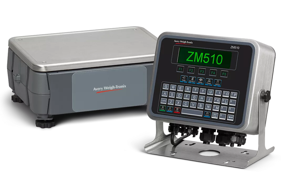 BSQ High Resolution Digital Bench Scale Base - Avery Weigh-Tronix ...