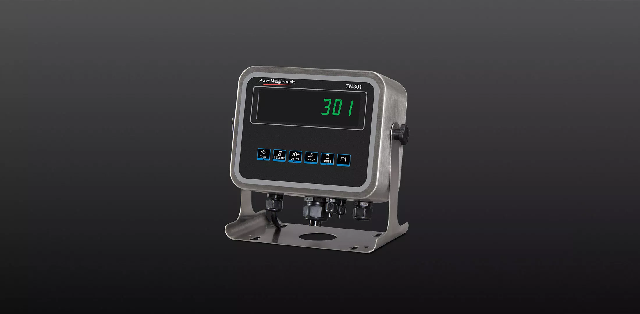 ZM301 Weight Indicator - Avery Weigh-Tronix - Global