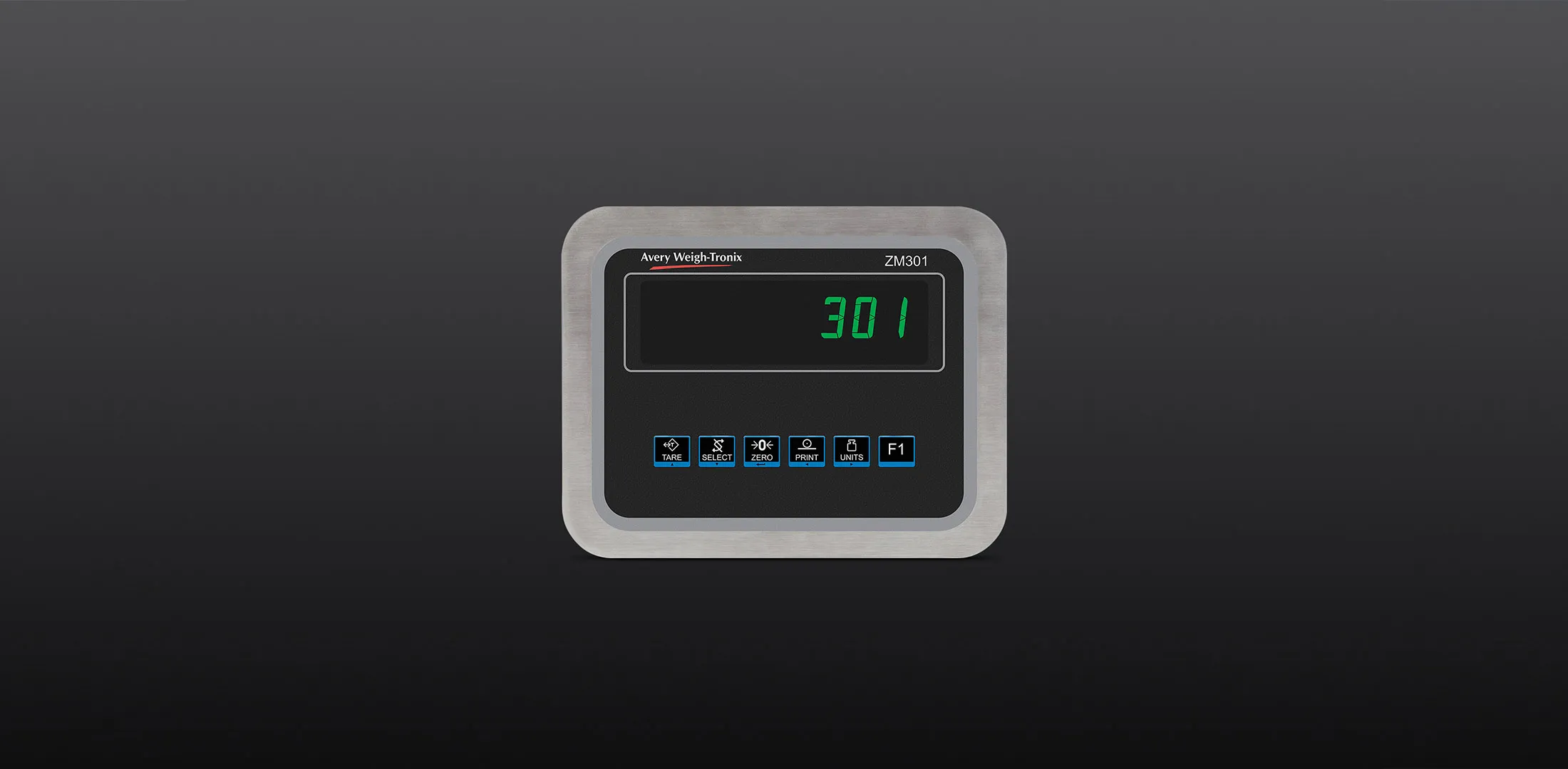 ZM301 Weight Indicator - Avery Weigh-Tronix - Global